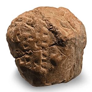 Western Asiatic Antiquities